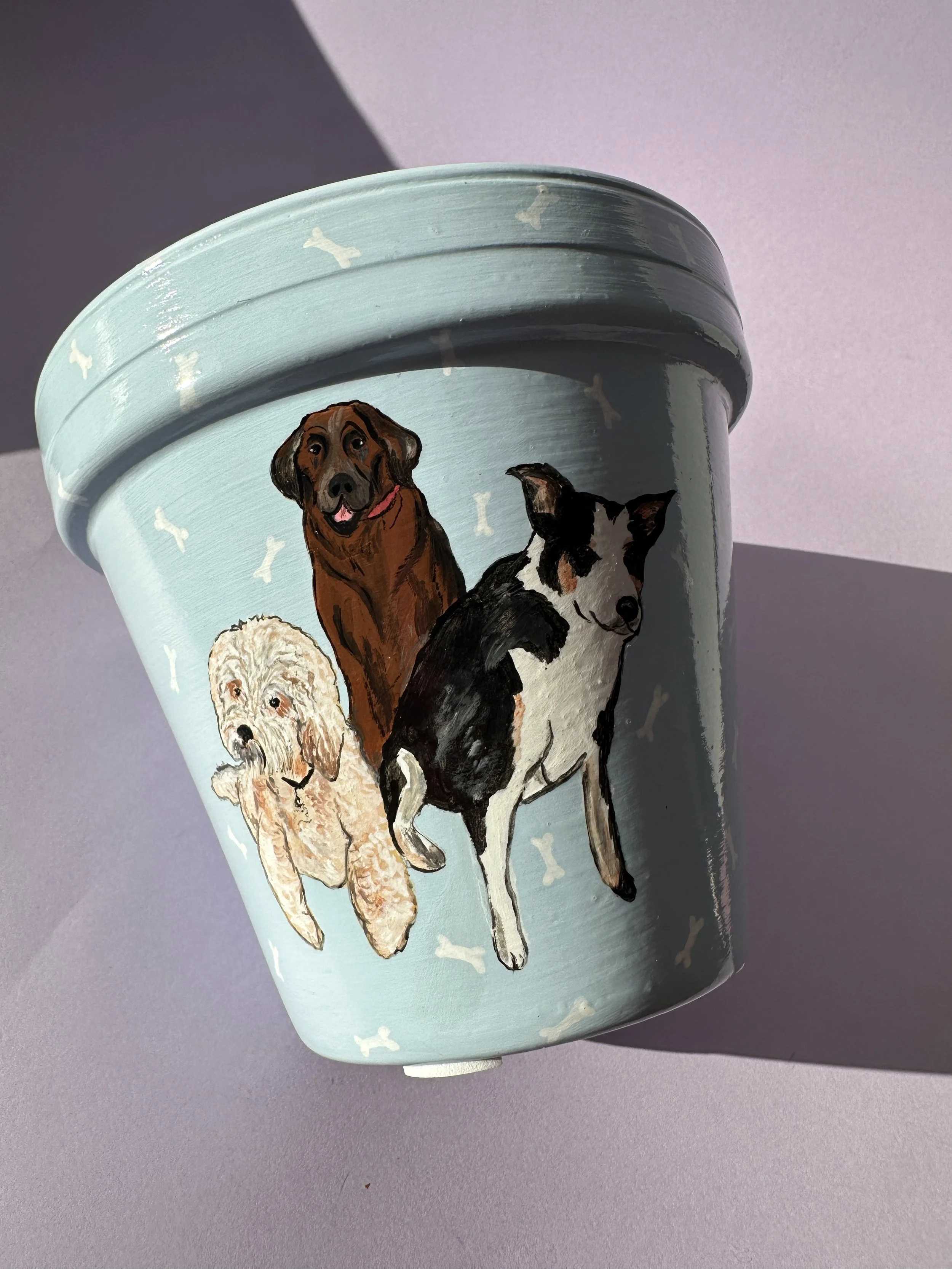 pimpupyourplants.com