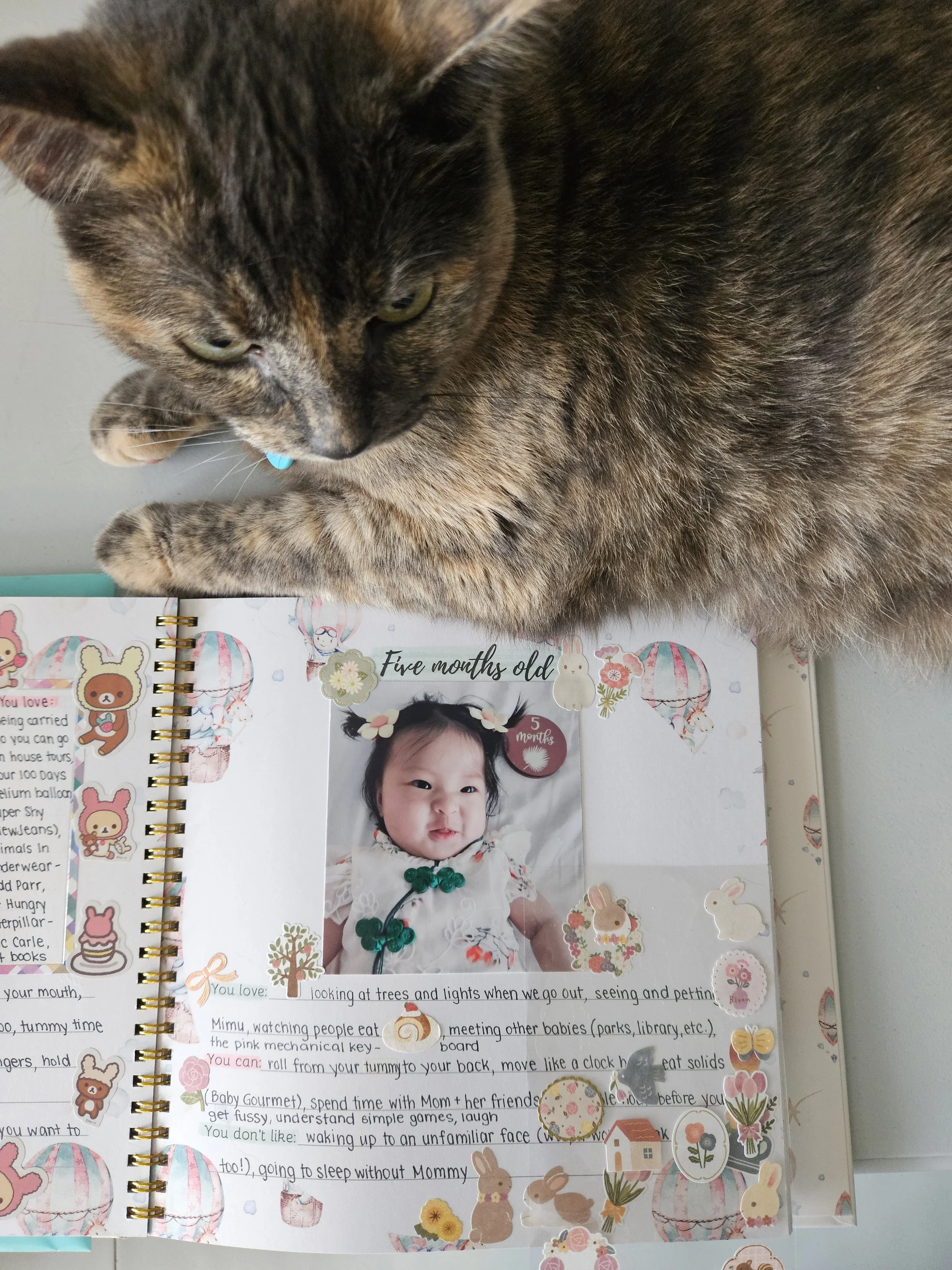 WTF, How Do You Stick To A Baby Book Routine When You’re Busy With A ...
