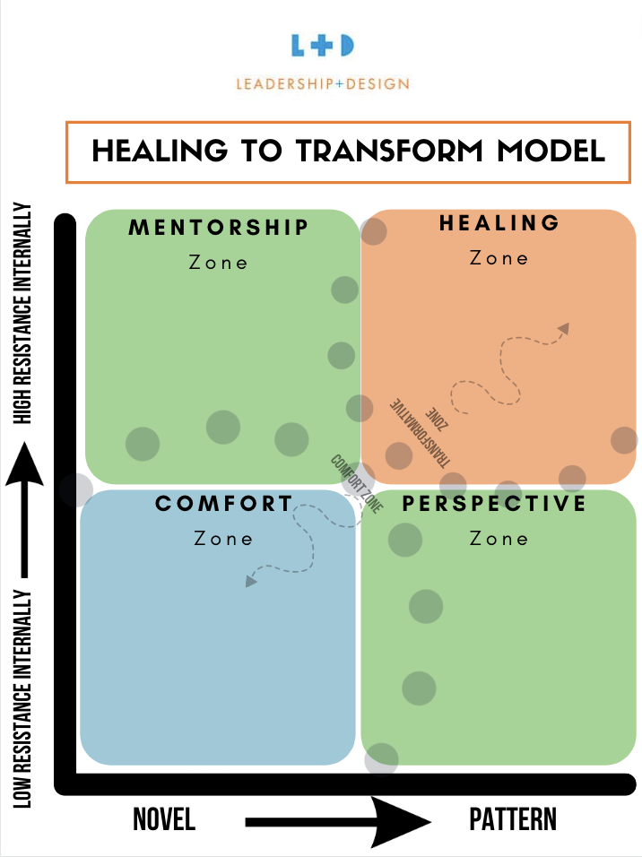 Healing to Transform: A New Model for the Inner Work of Leadership ...