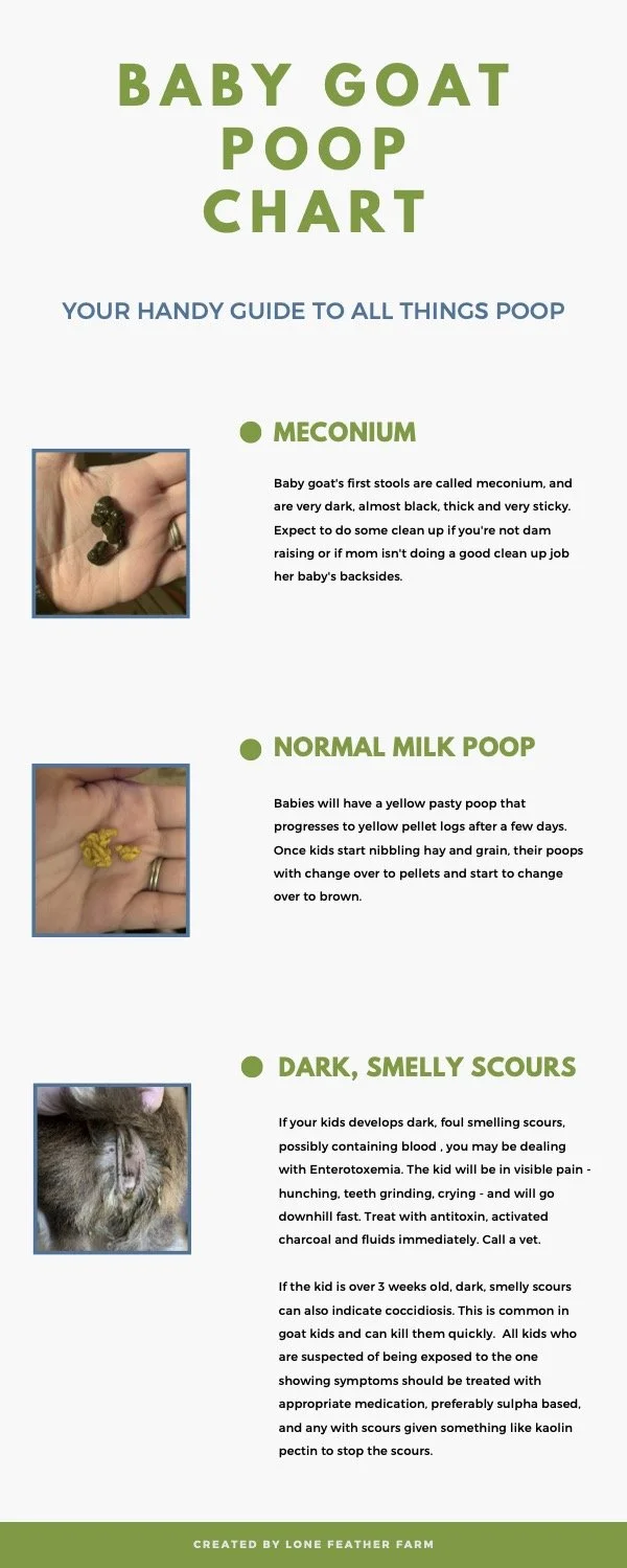 Goat Poop Chart | The Scoop On Poop — Lone Feather Farm