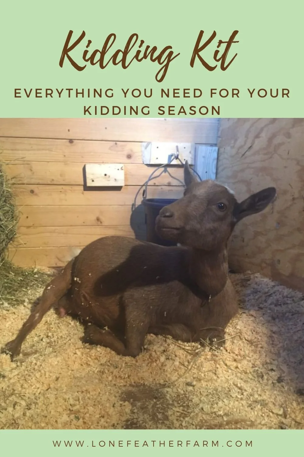 The Complete Kidding Kit — Lone Feather Farm