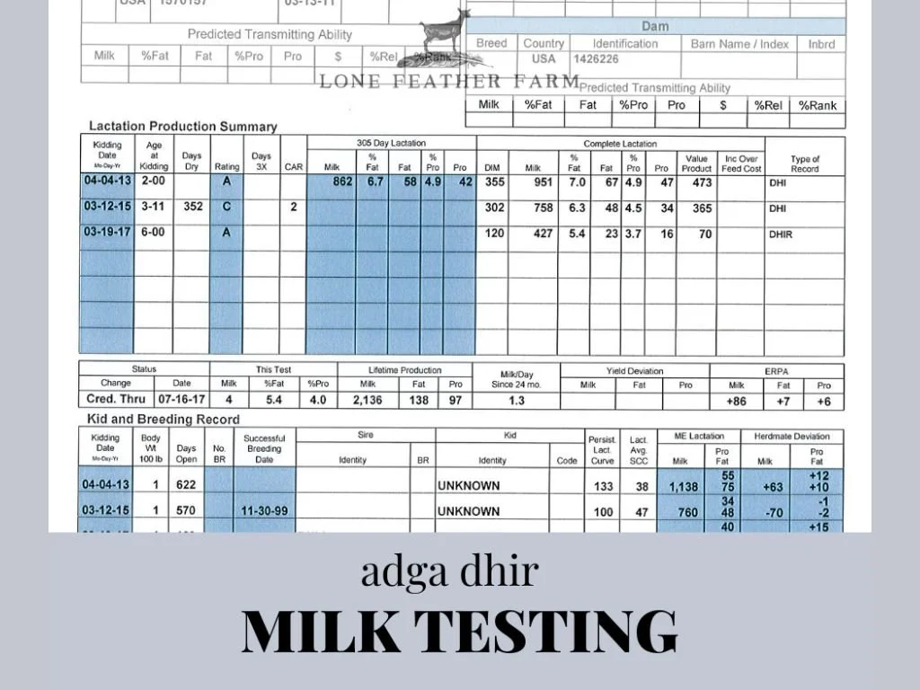 ADGA DHIR Milk Testing — Lone Feather Farm