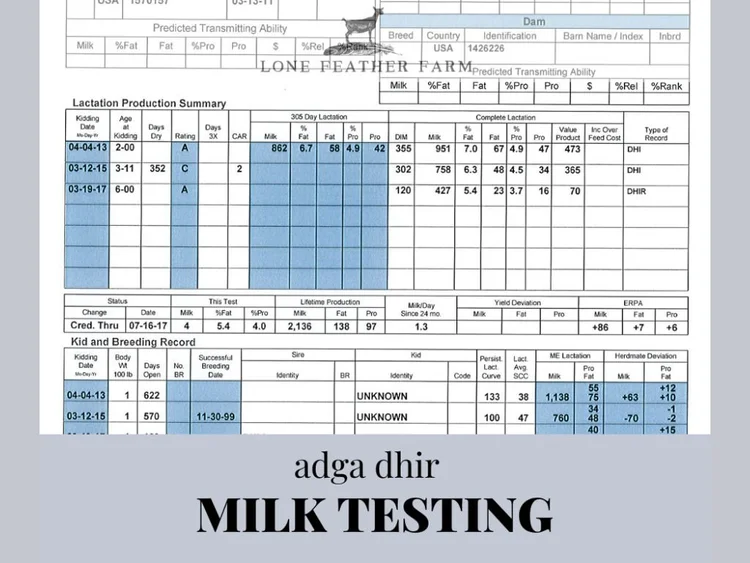 ADGA DHIR Milk Testing — Lone Feather Farm