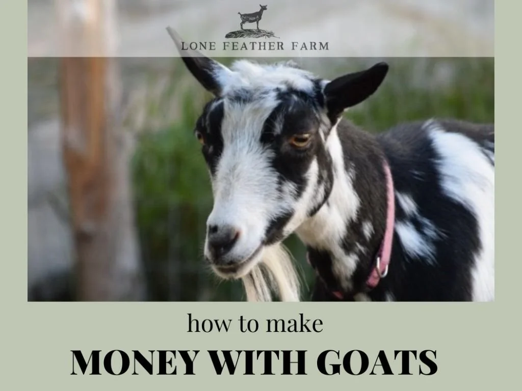 How to Make Money With Goats — Lone Feather Farm