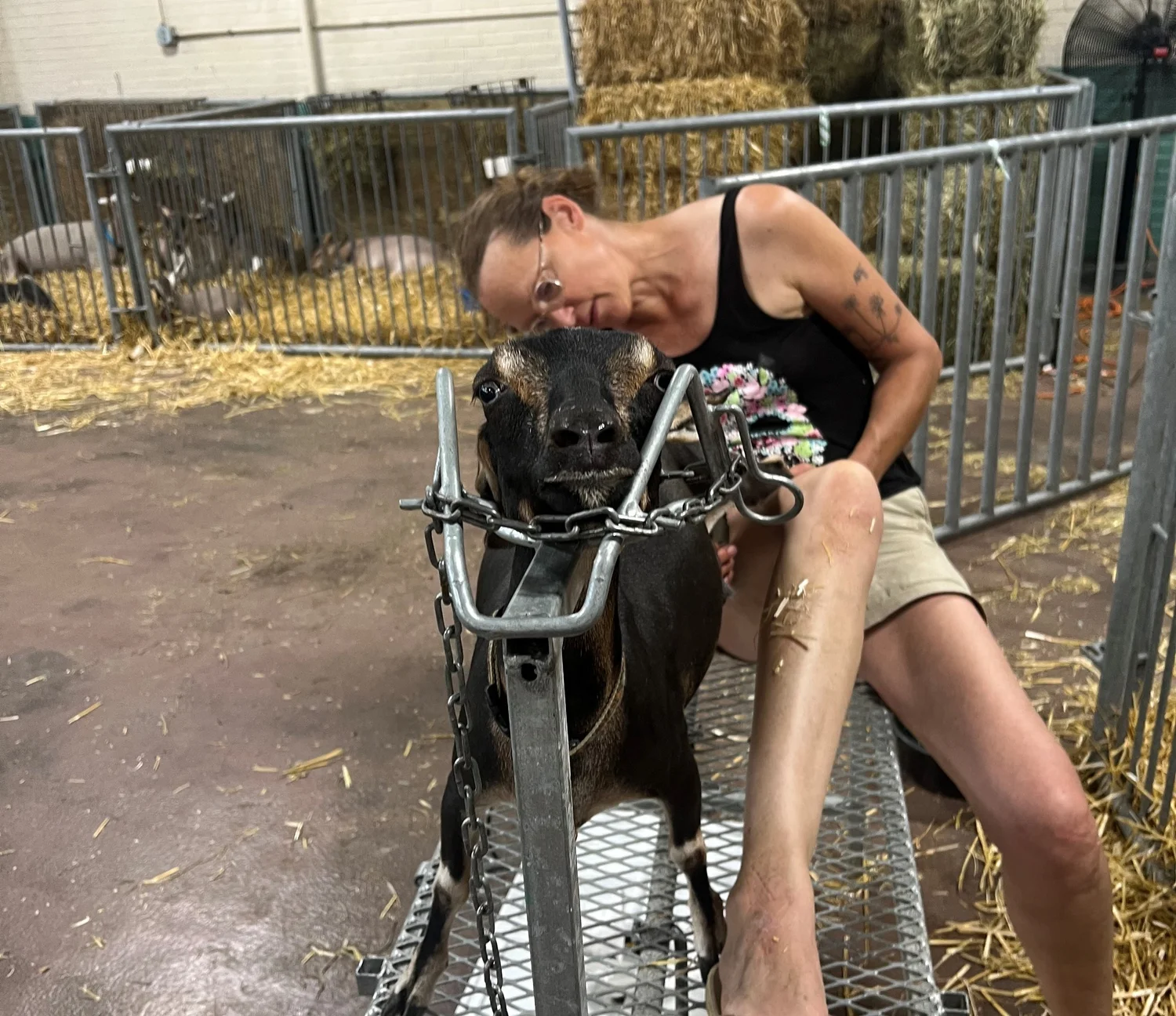 Goat Show Supplies — Lone Feather Farm