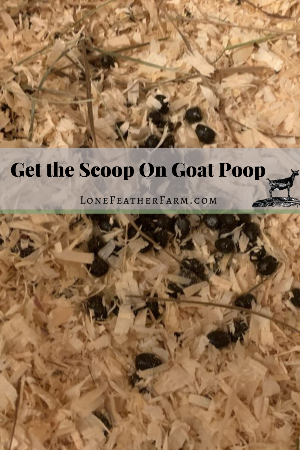 Goat Poop Chart | The Scoop On Poop — Lone Feather Farm