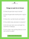 Buying Goats | What to Know — Lone Feather Farm