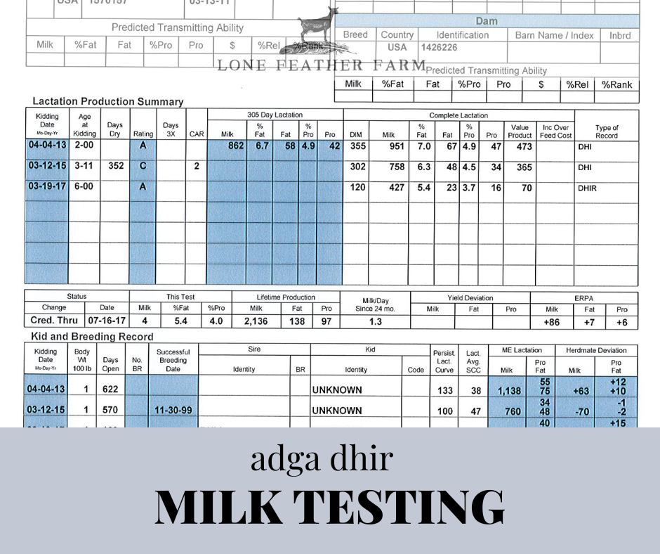 ADGA DHIR Milk Testing — Lone Feather Farm