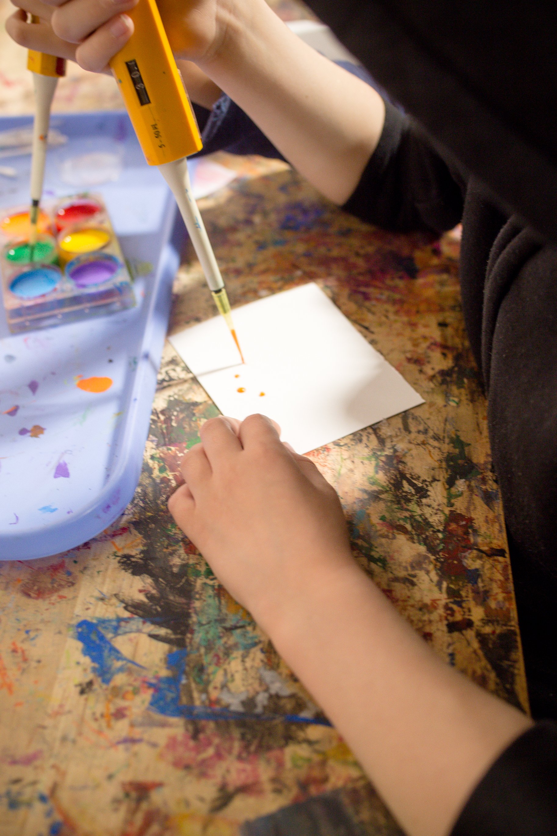 Village School of Louisville