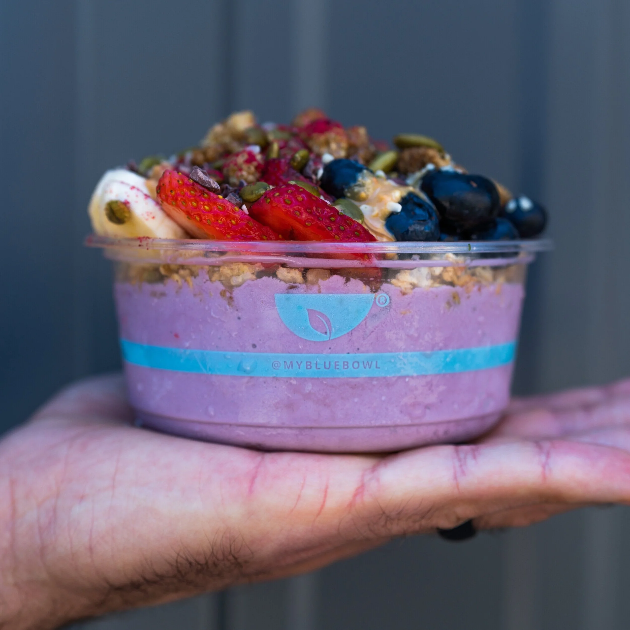 Blue Bowl | Quality At Every Layer.™