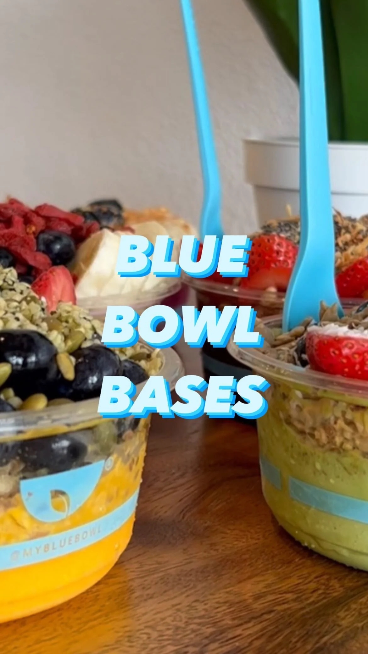 Blue Bowl | Quality At Every Layer.™