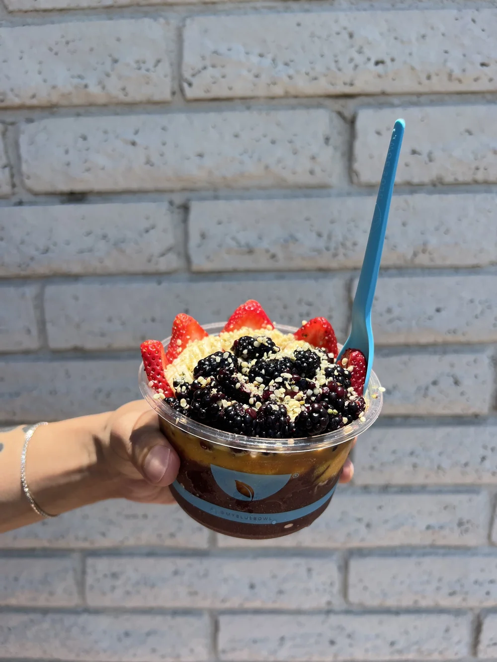 Blue Bowl | Quality At Every Layer.™