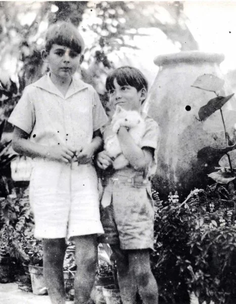 Our Cats — The Hemingway Home & Museum