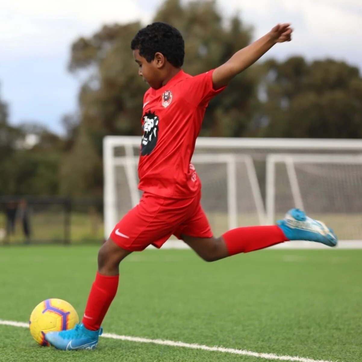 Fitzroy Lions Soccer Club