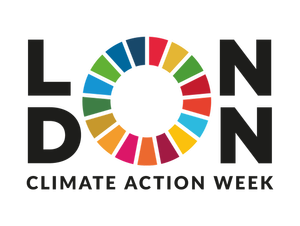 London Climate Action Week 2024 — Shade the UK