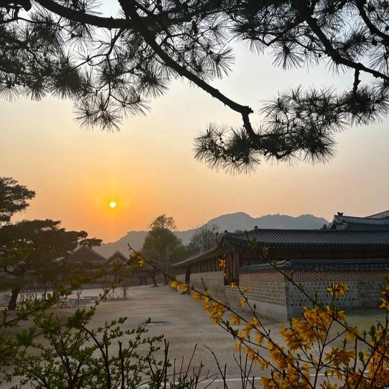 Korea Recognising Heatwave Risk in Light of Recent Extreme Heat — Shade ...