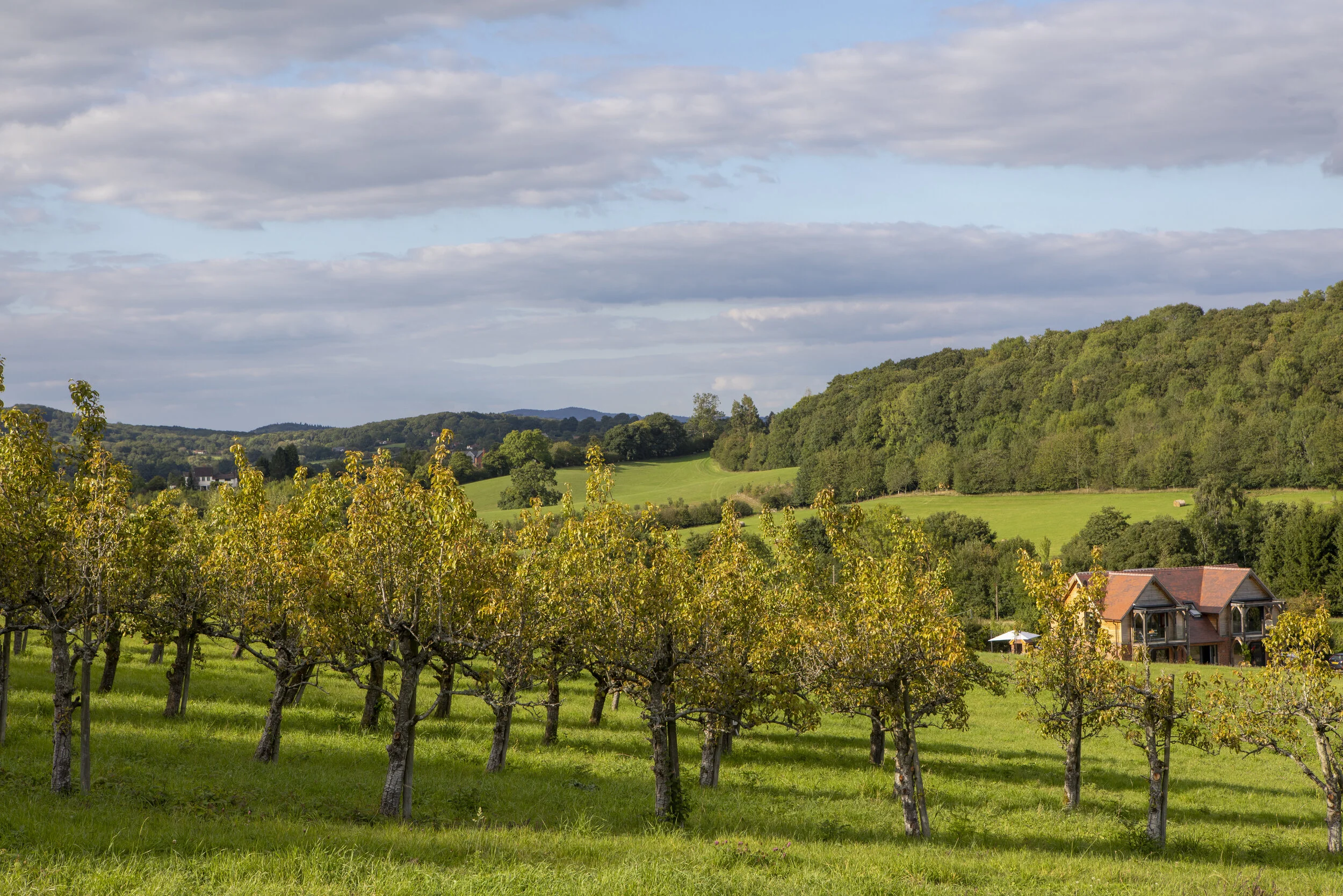 B&B Malvern | Experience the PassivHaus Difference | Woodlands B&B