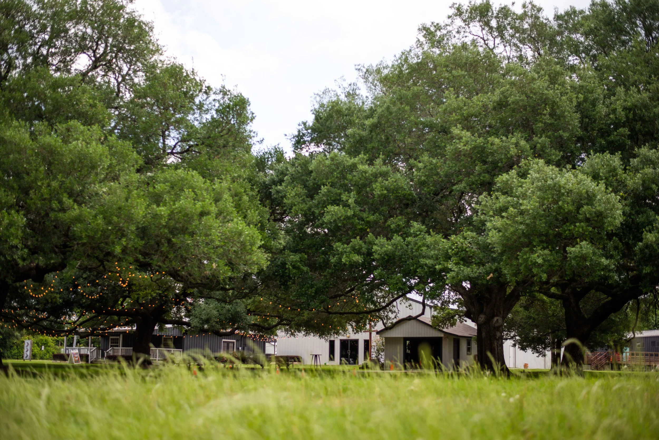 Facilities Team — Risen Church