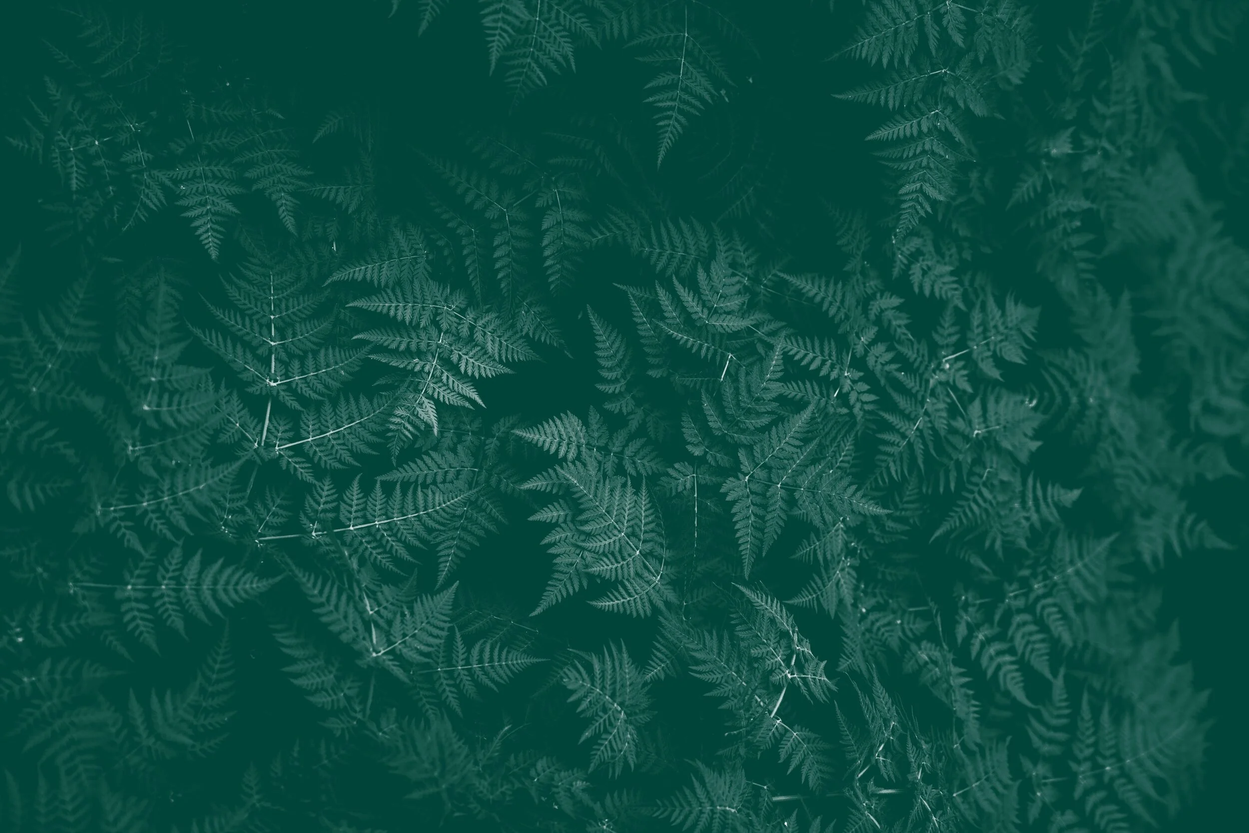 Koru Health
