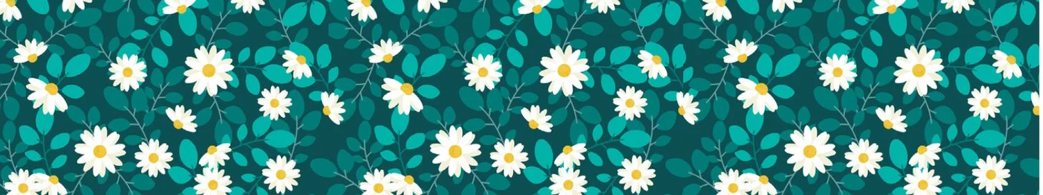 Support Services — Bellis