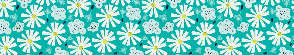 About Bellis — Bellis