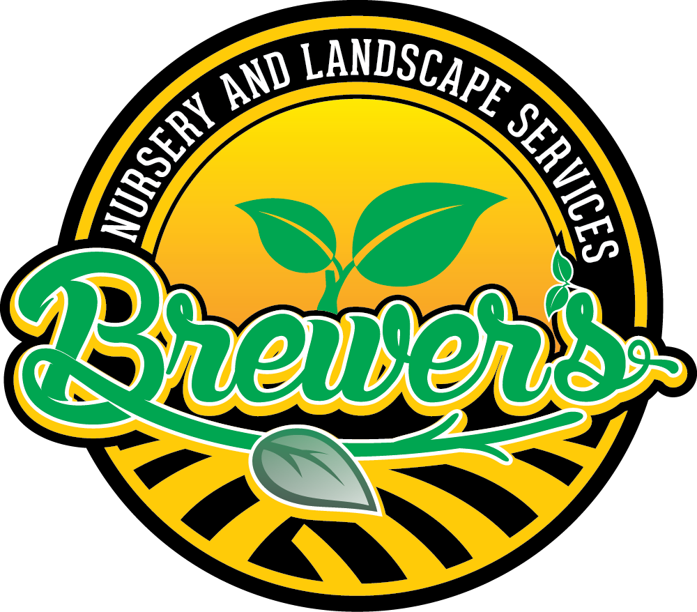 Brewer's Nursery | Bradenton Plant & Tree Nursery
