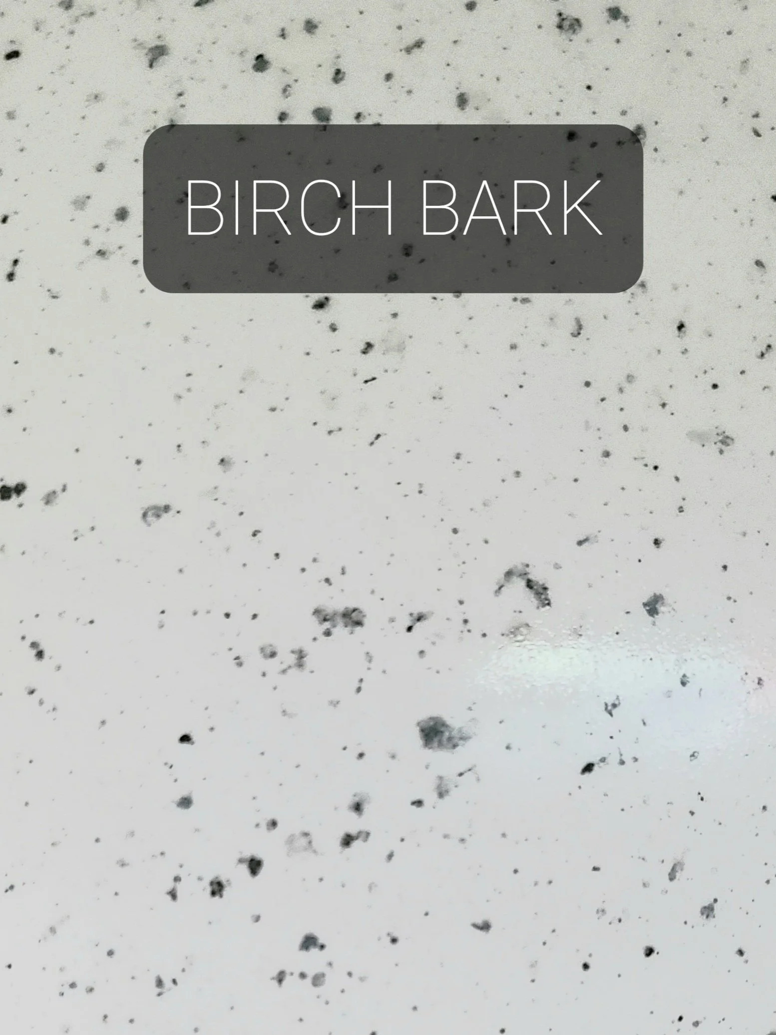 St. Pete Refinishing