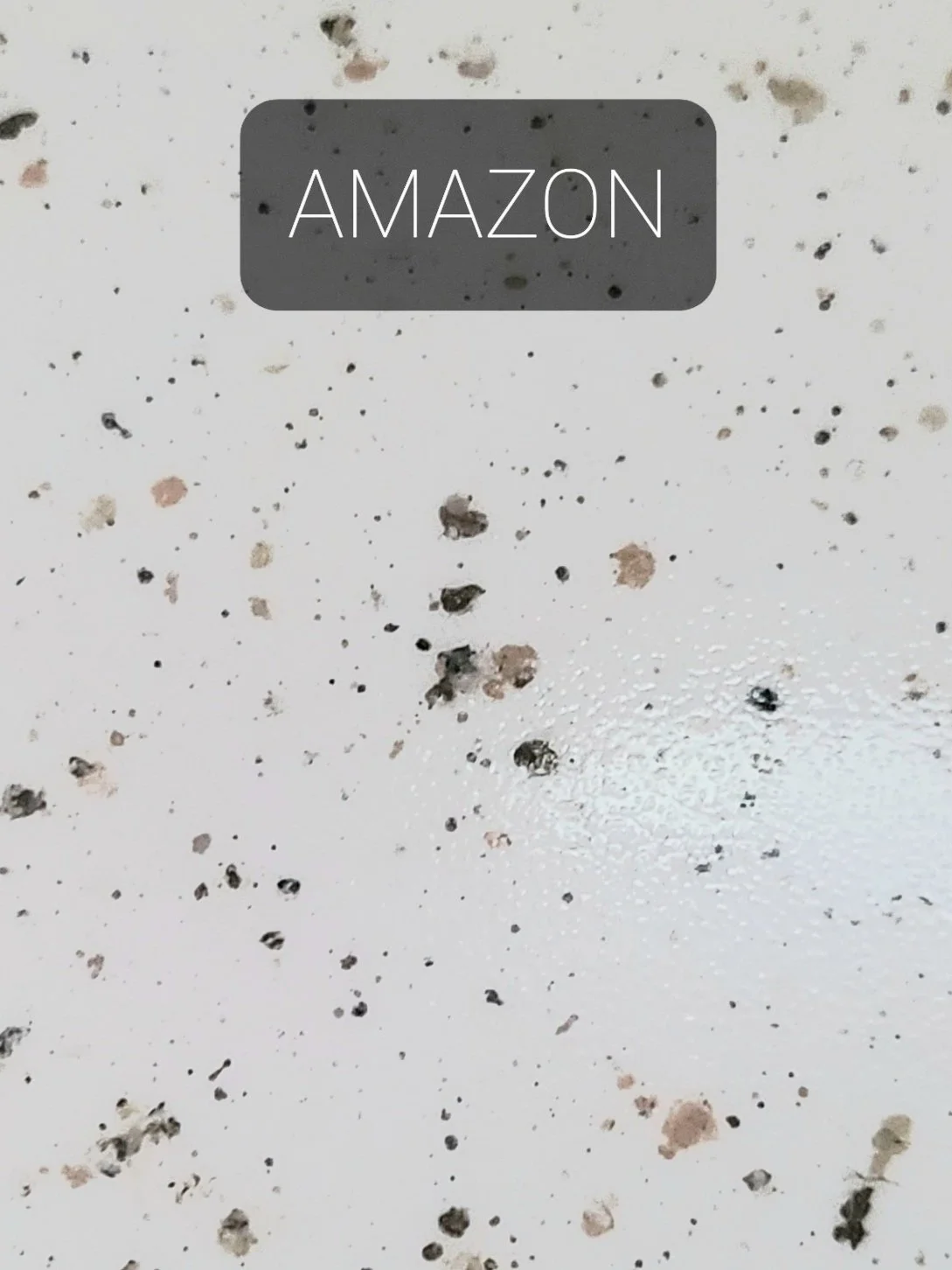 St. Pete Refinishing