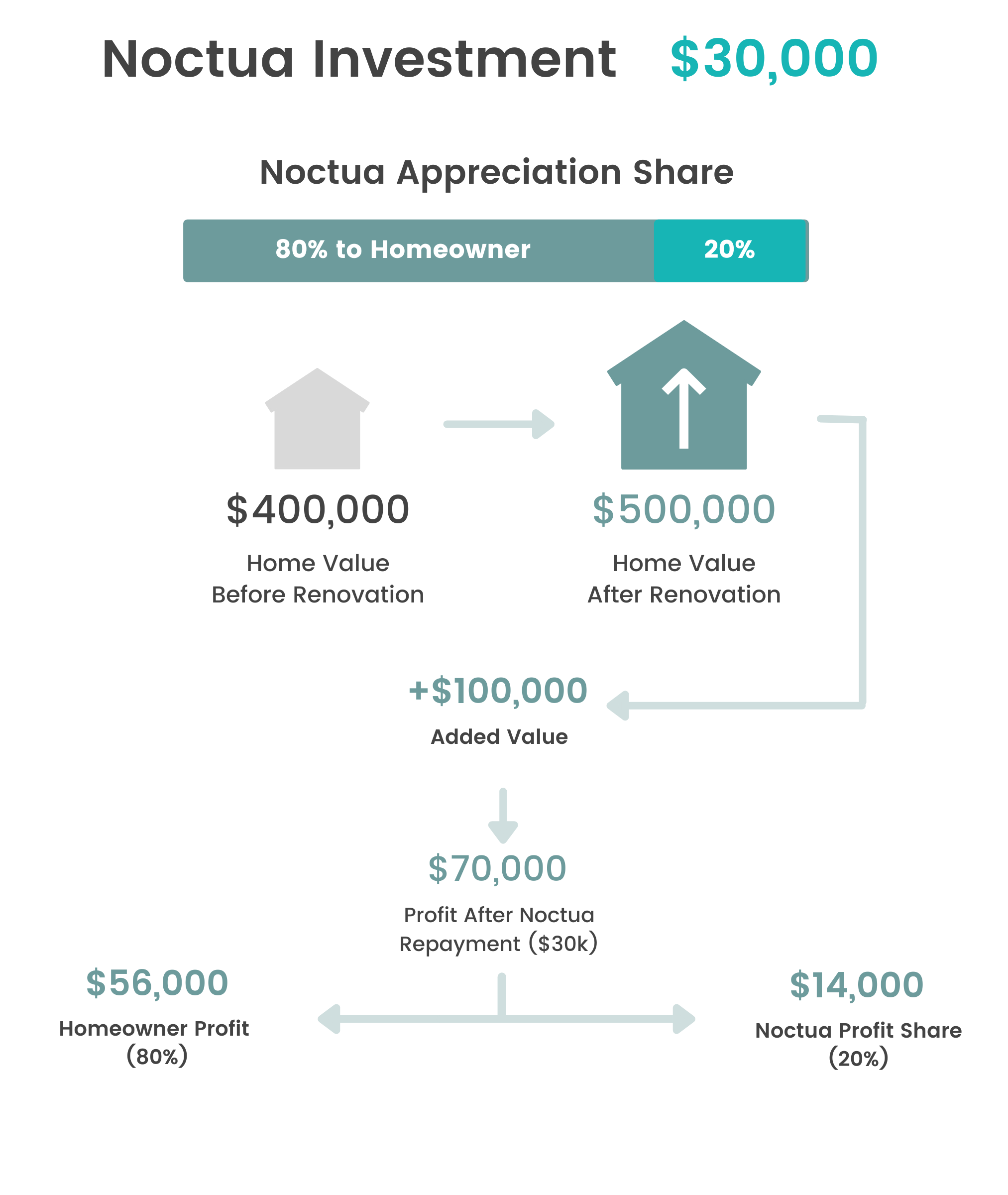 Nest Egg — Noctua Group