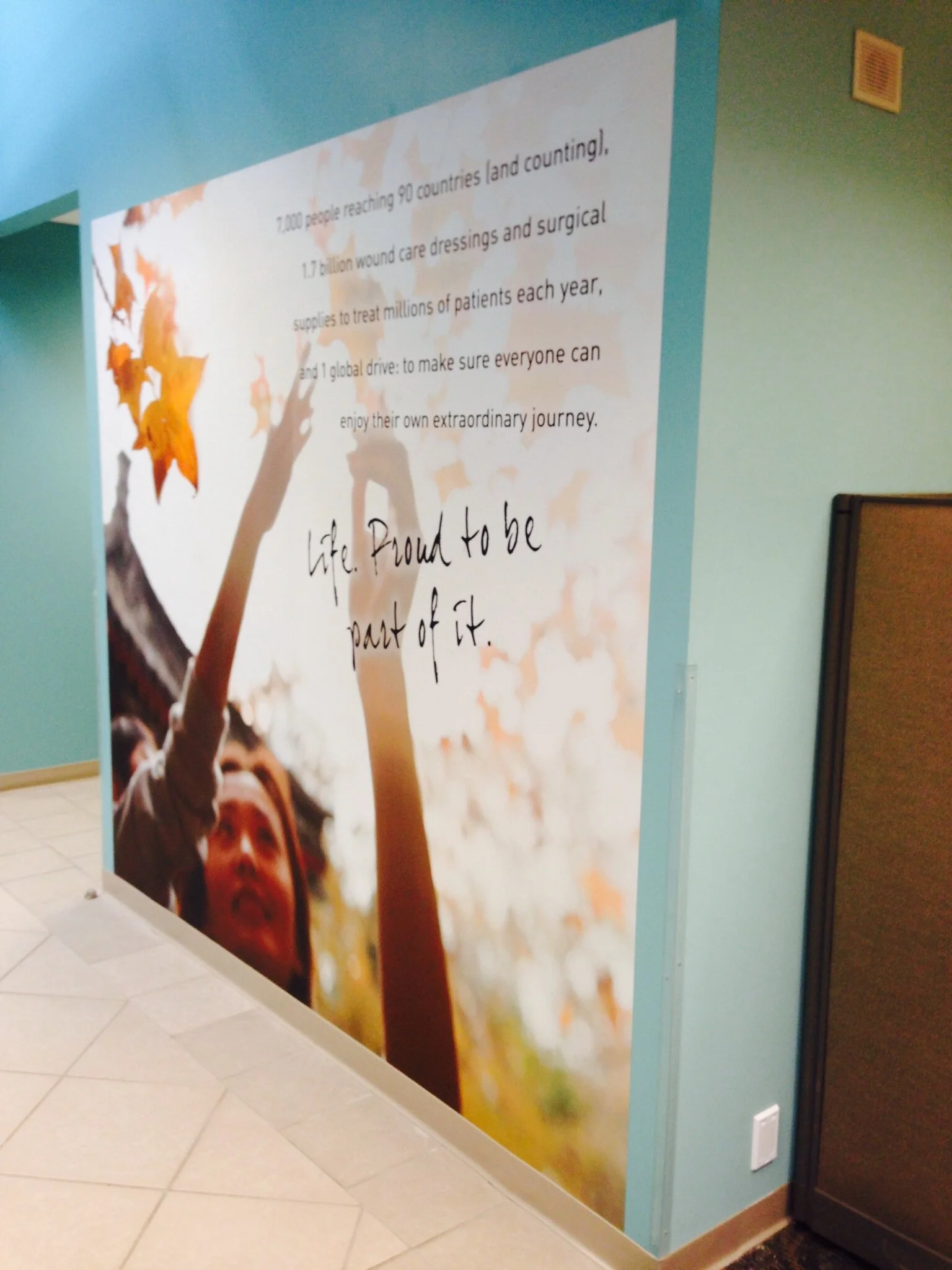 Wall Murals for Business — Mad Monkey Media