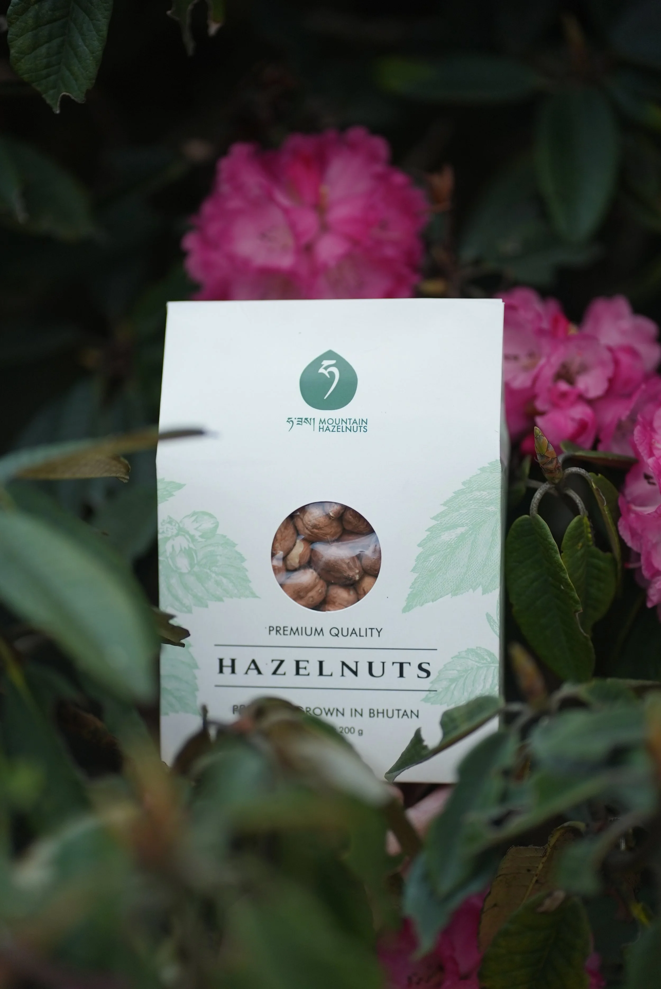 OUR PRODUCT — Mountain Hazelnuts