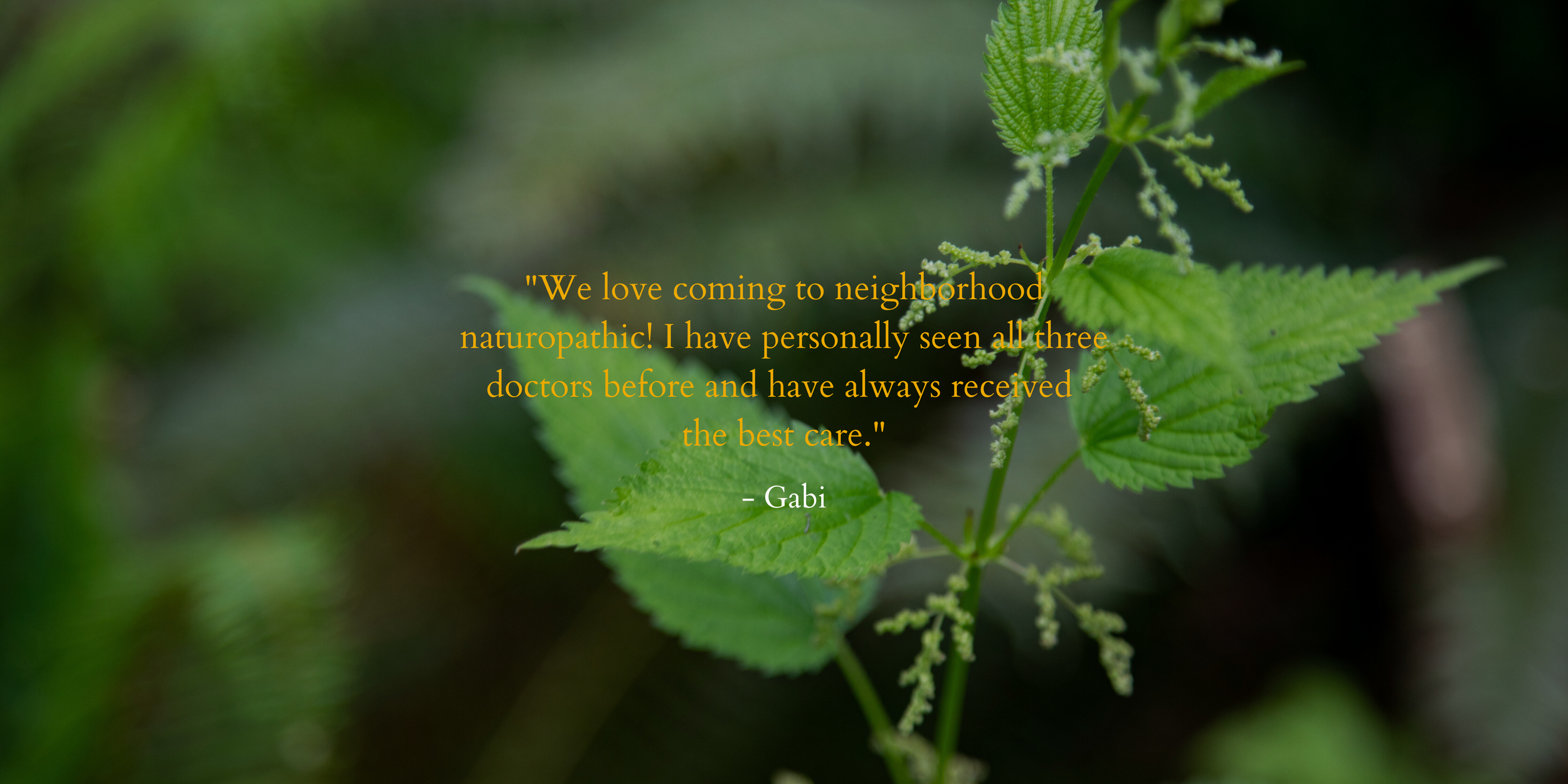 Neighborhood Naturopathic - West Seattle