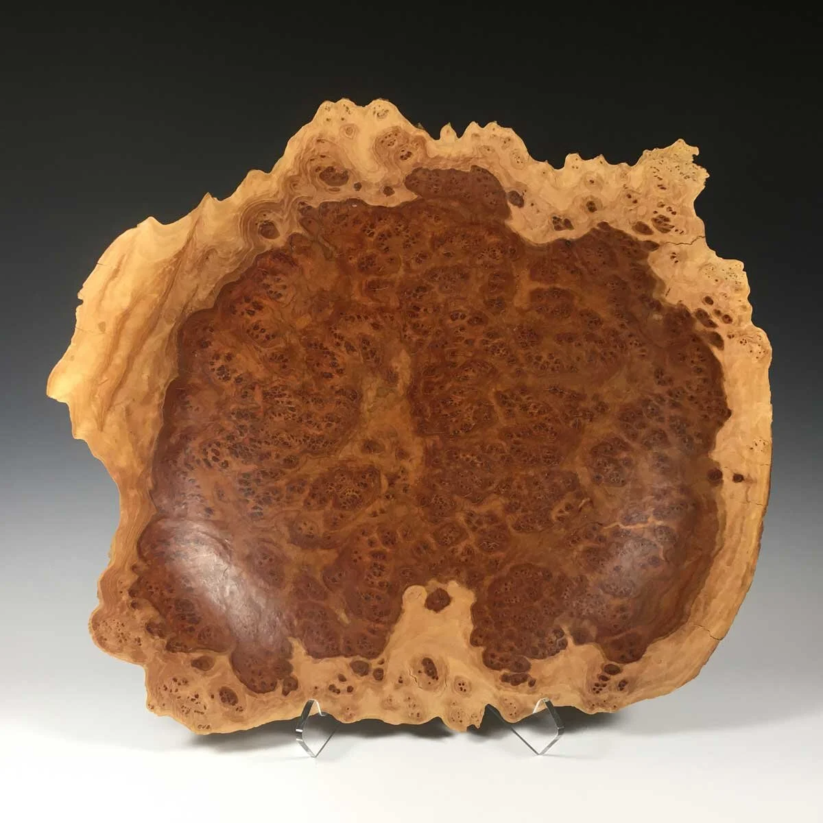 Eucalyptus Wood Burls By Woodworking Artist Steve Noggle — Steve Noggle