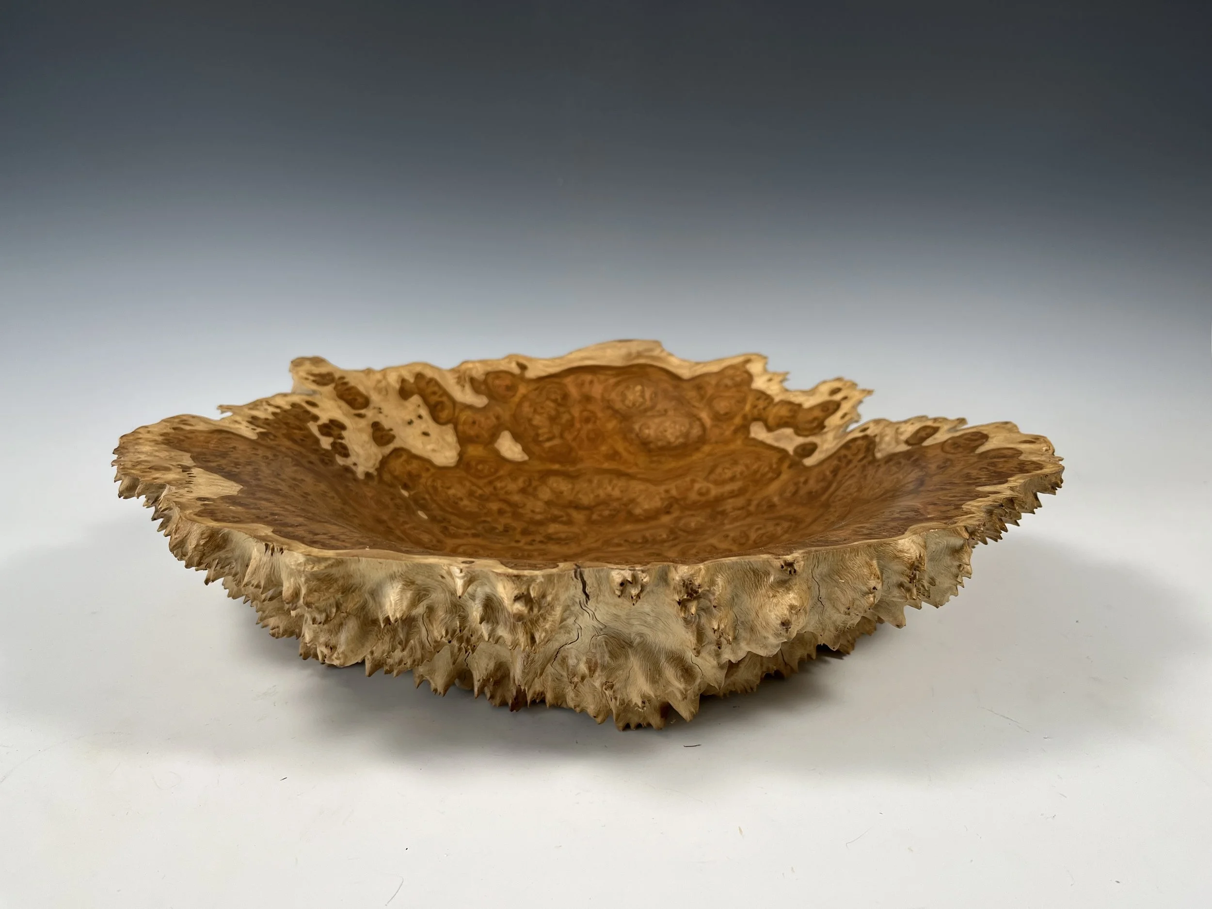 Eucalyptus Wood Burls By Woodworking Artist Steve Noggle — Steve Noggle