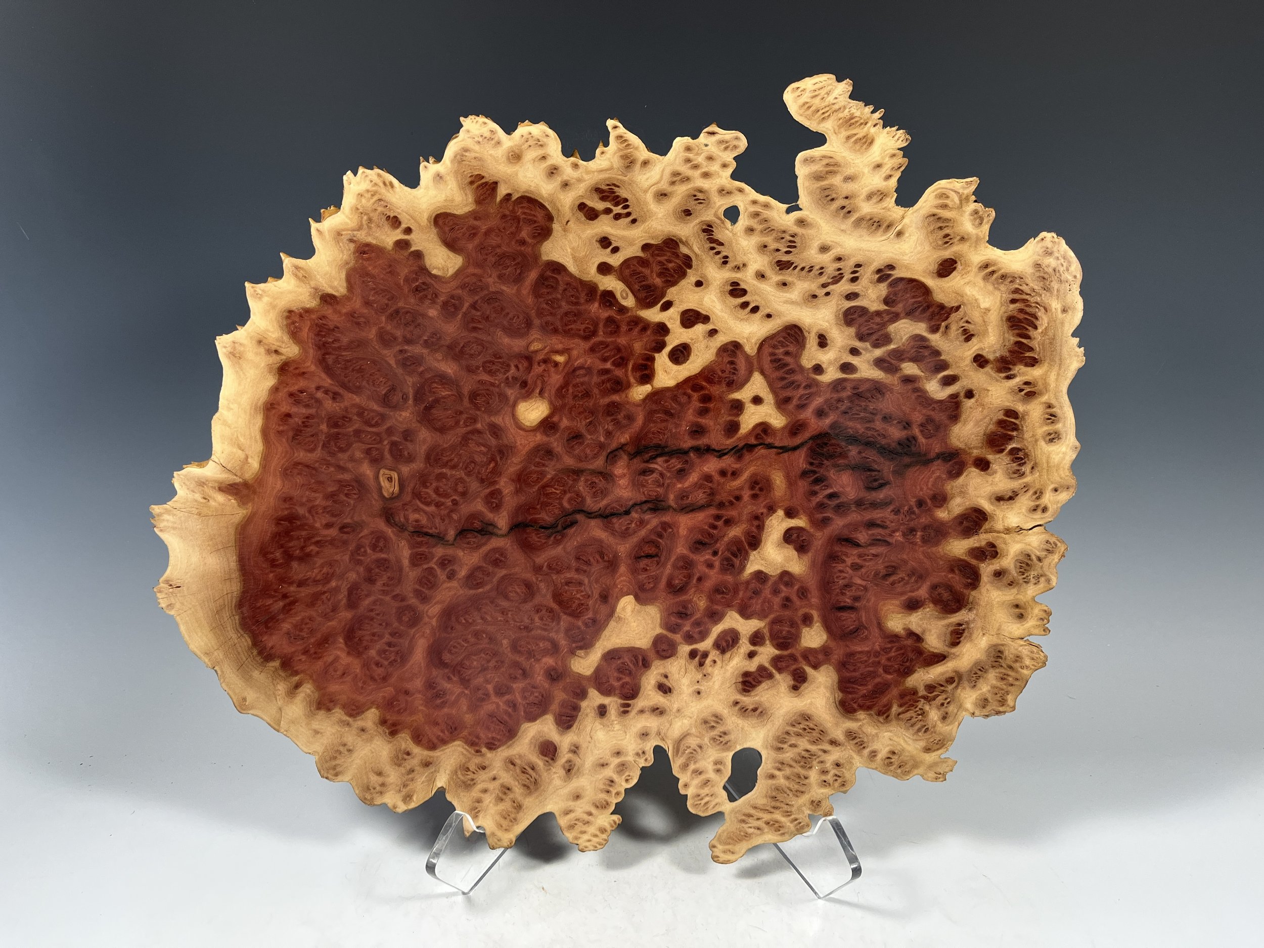 Eucalyptus Wood Burls By Woodworking Artist Steve Noggle — Steve Noggle