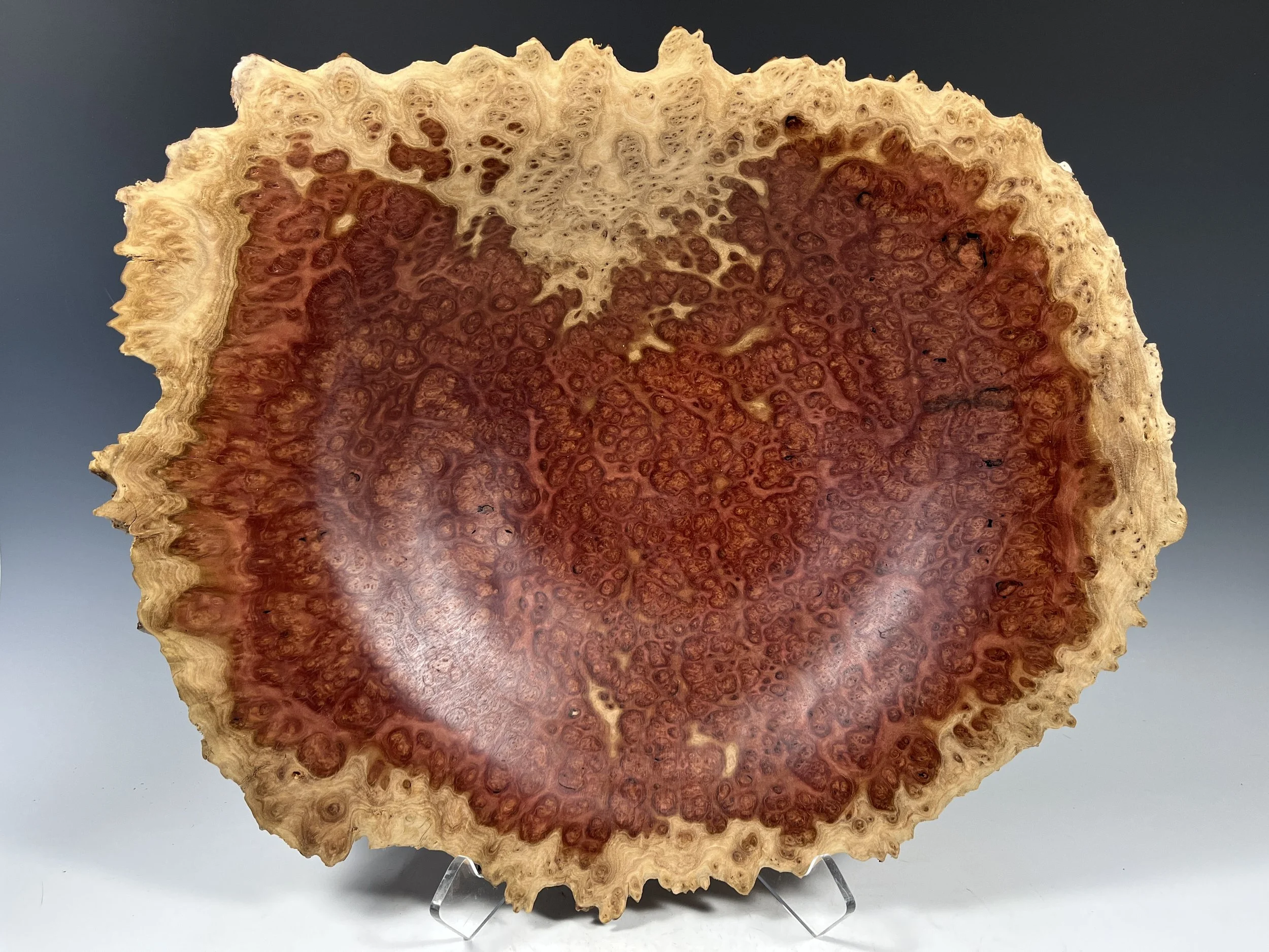 Eucalyptus Wood Burls By Woodworking Artist Steve Noggle — Steve Noggle