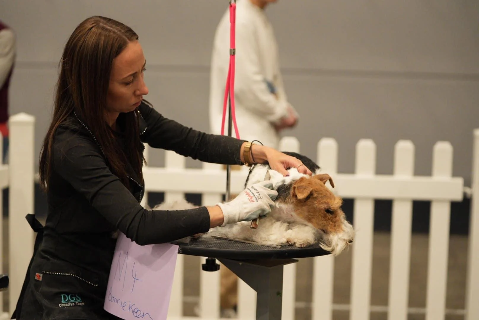 AusGroom Competition — PIAA