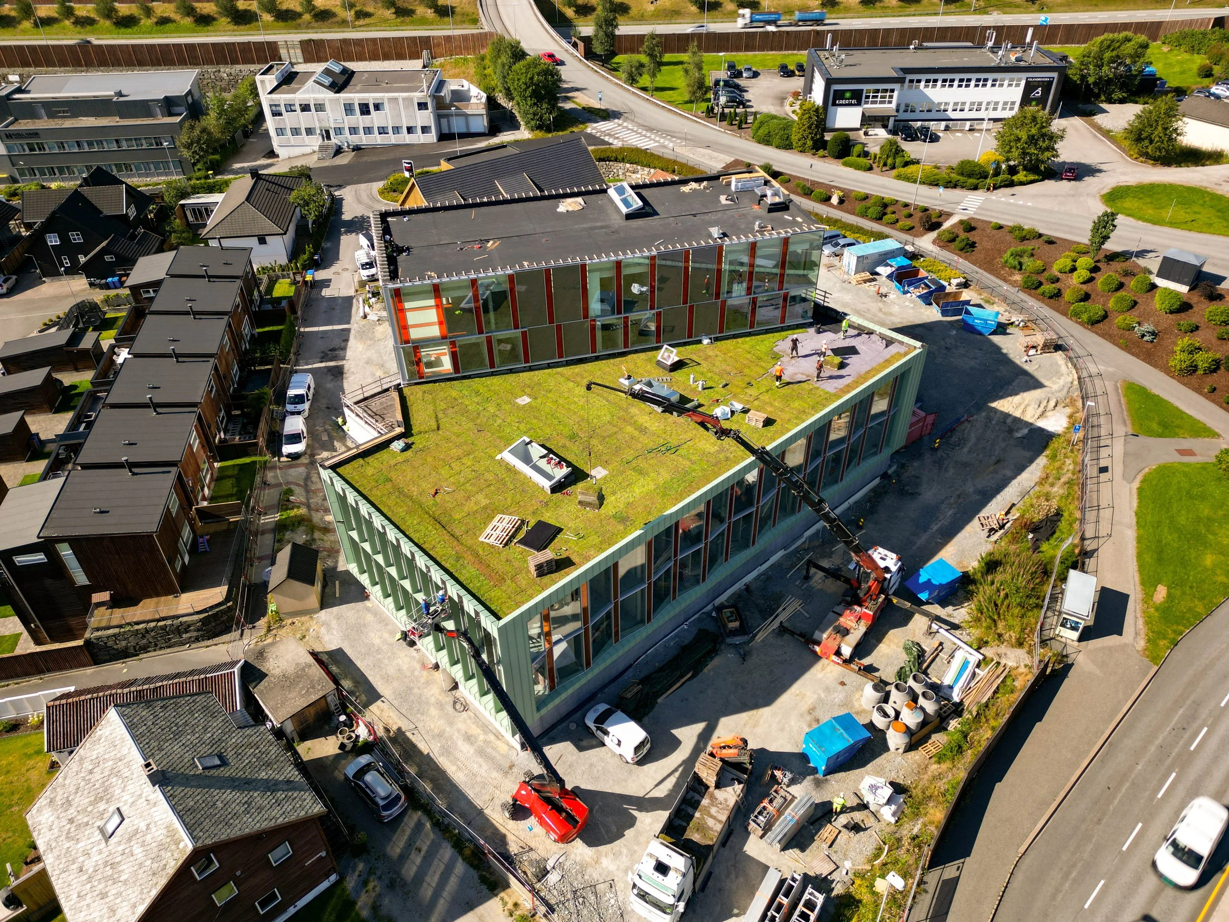 Sedumtak — Bergknapp - Sedum og grønne løsninger