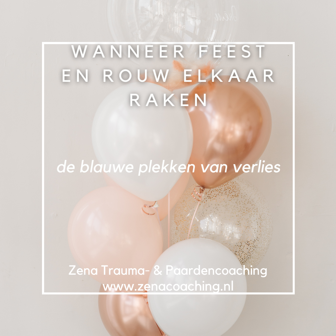 Lichaamsgerichte praktijk voor Trauma-, Verlies- en Rouwverwerking