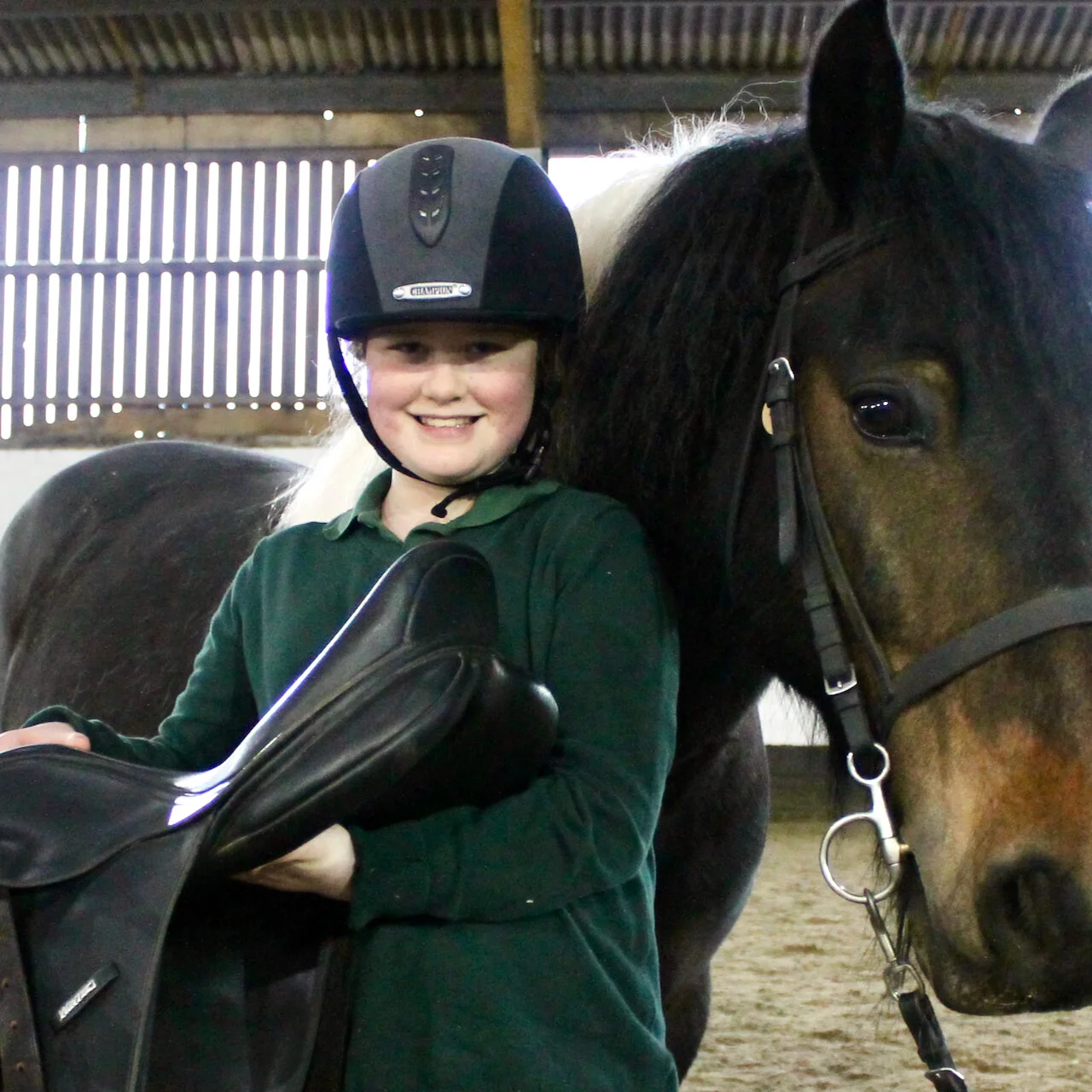 General 2 — Scropton Horse Centre