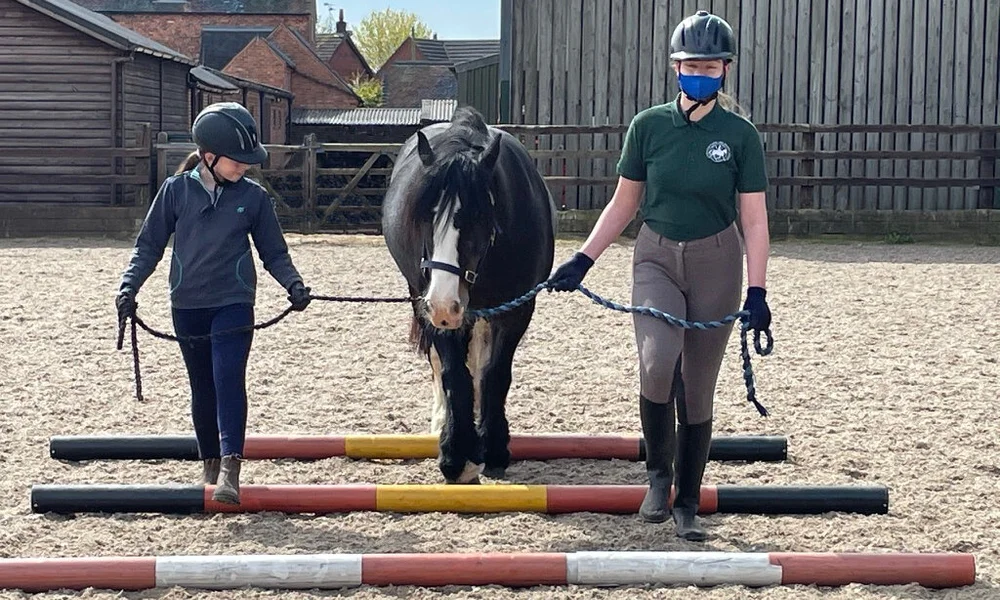 Horse Agility — Scropton Horse Centre