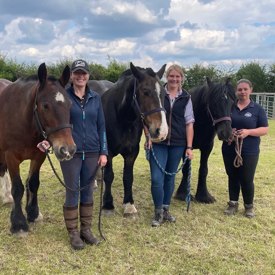 General 1 — Scropton Horse Centre