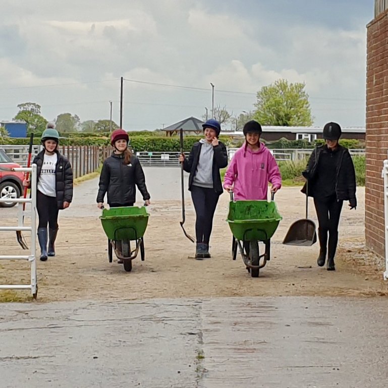 Get involved — Scropton Horse Centre