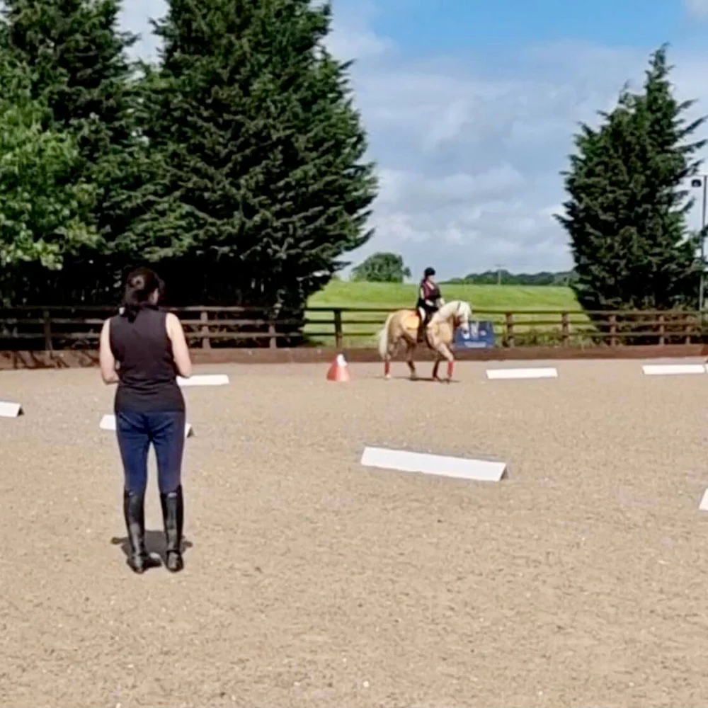 General 1 — Scropton Horse Centre