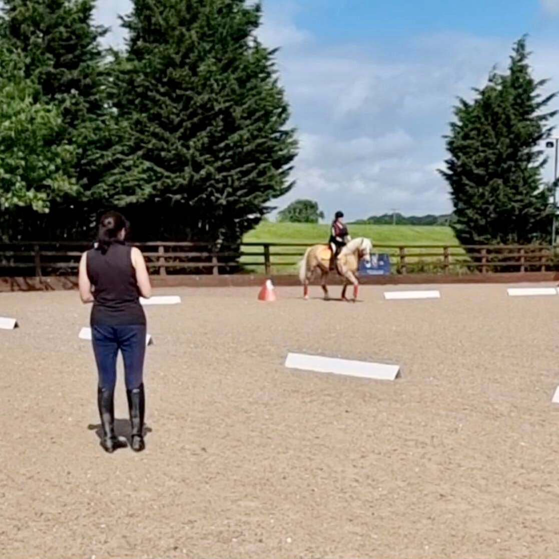 General 1 — Scropton Horse Centre