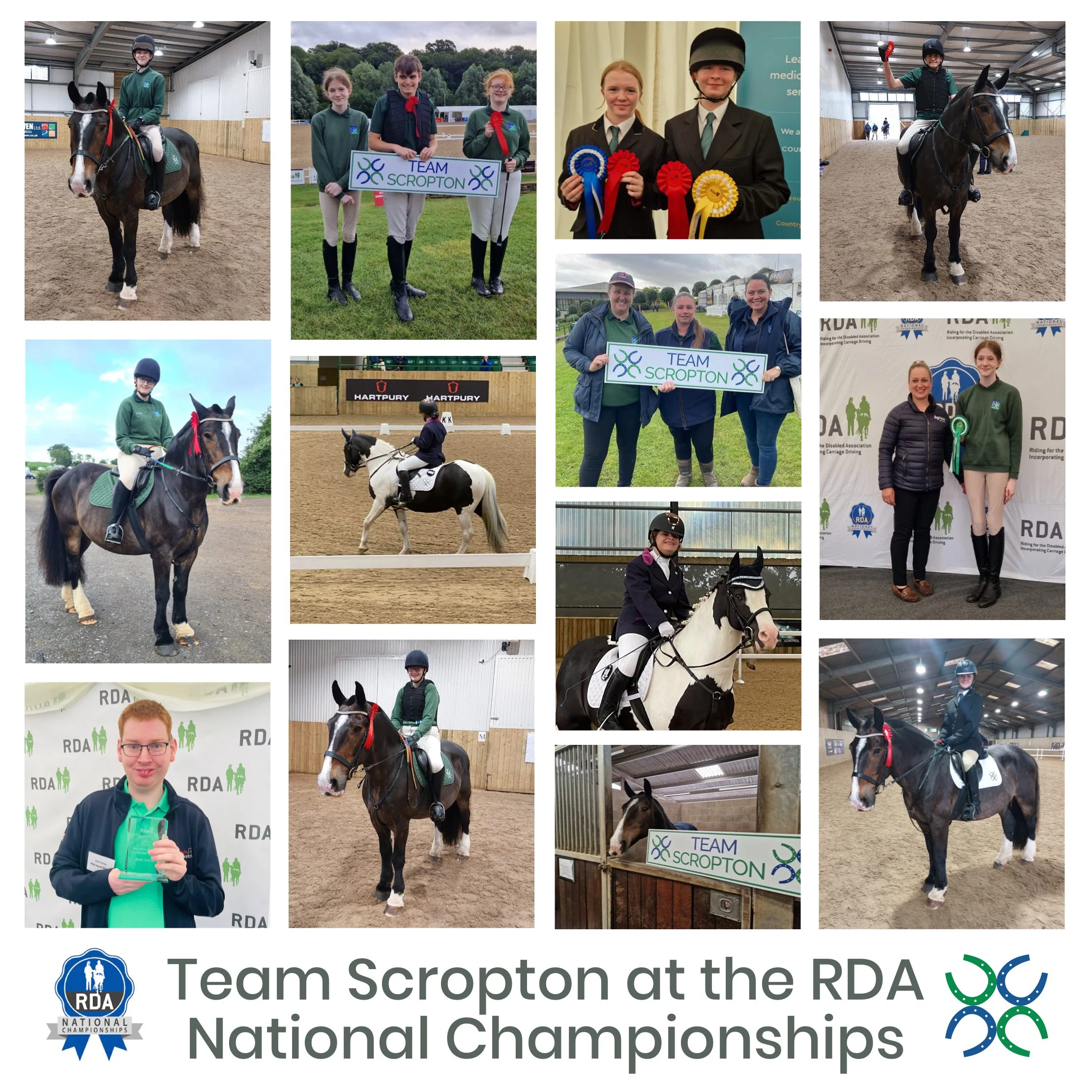 News, Notes & Neighs — Scropton Horse Centre