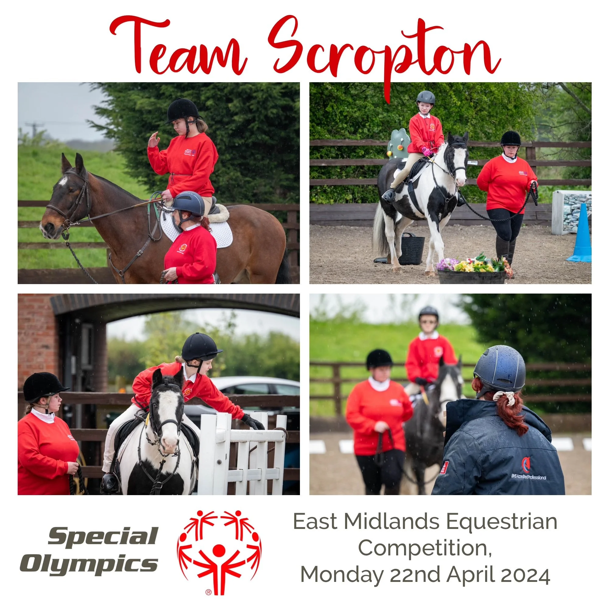 News, Notes & Neighs — Scropton Horse Centre