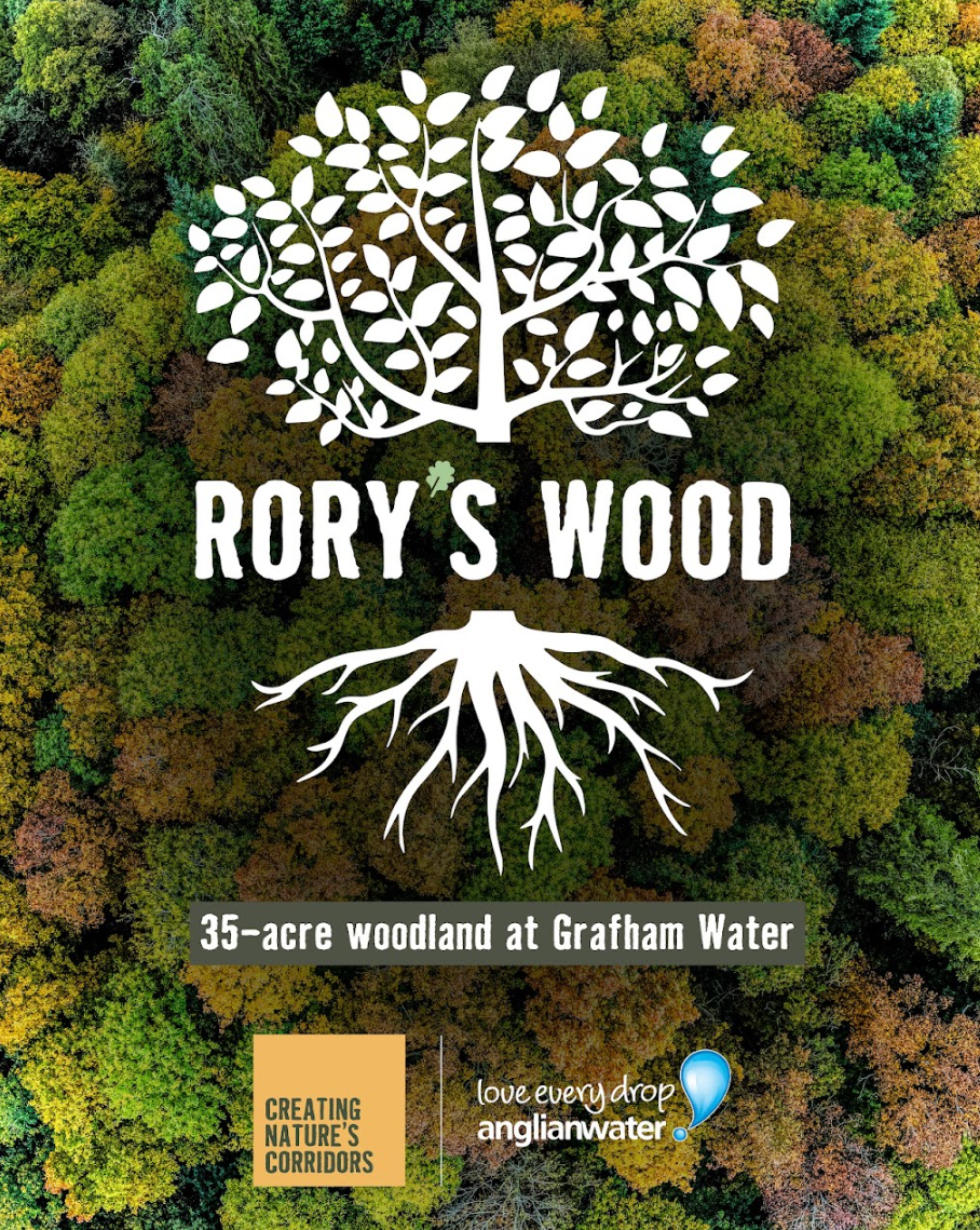 Rory's Wood 2025 | Support Forest Restoration Today — Creating Nature's ...