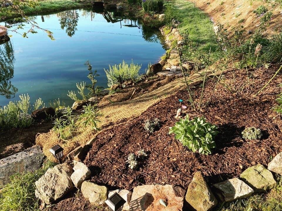 Waddle Om Farm — Wayfinder Holistics