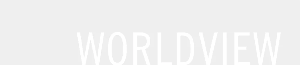 Worldview Institute — UNA-NYC